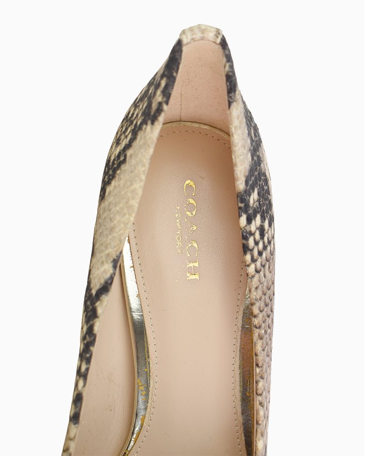 Sapato Coach Python Original Feminino