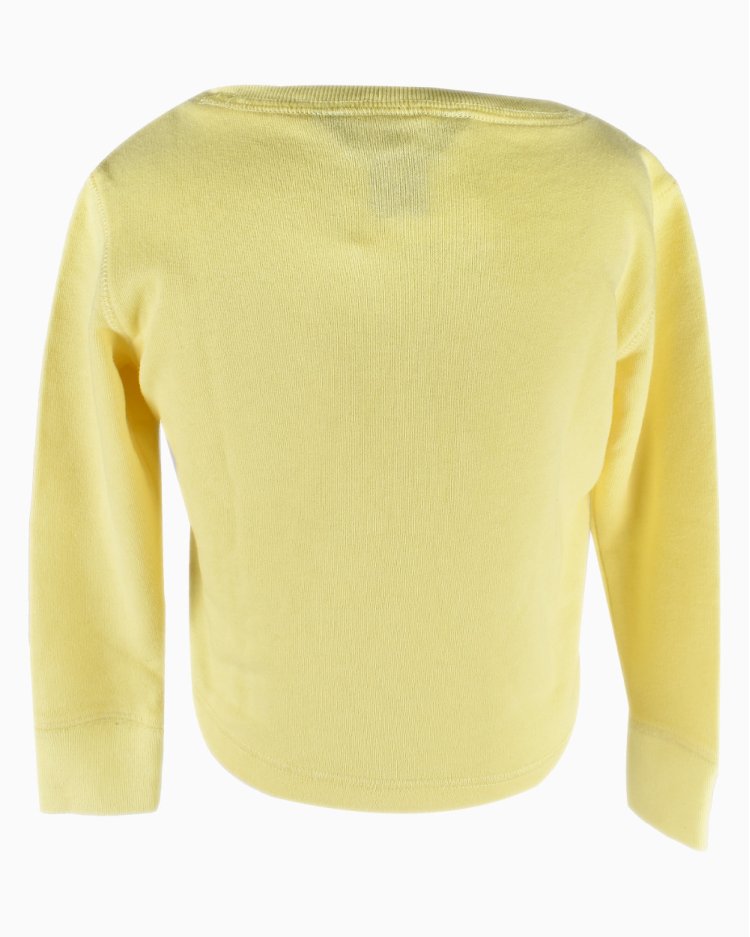 Moletom Infatil Ralph Lauren Original Logo Amarelo