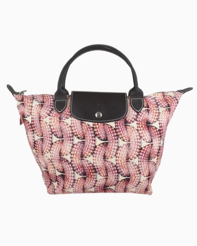 Bolsa Longchamp Original Le Pliage Limited Edition Canvas Estampada ...