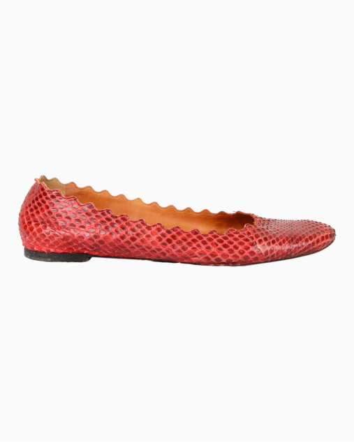 Sapatilha Chloé Original Python Bordô Feminina
